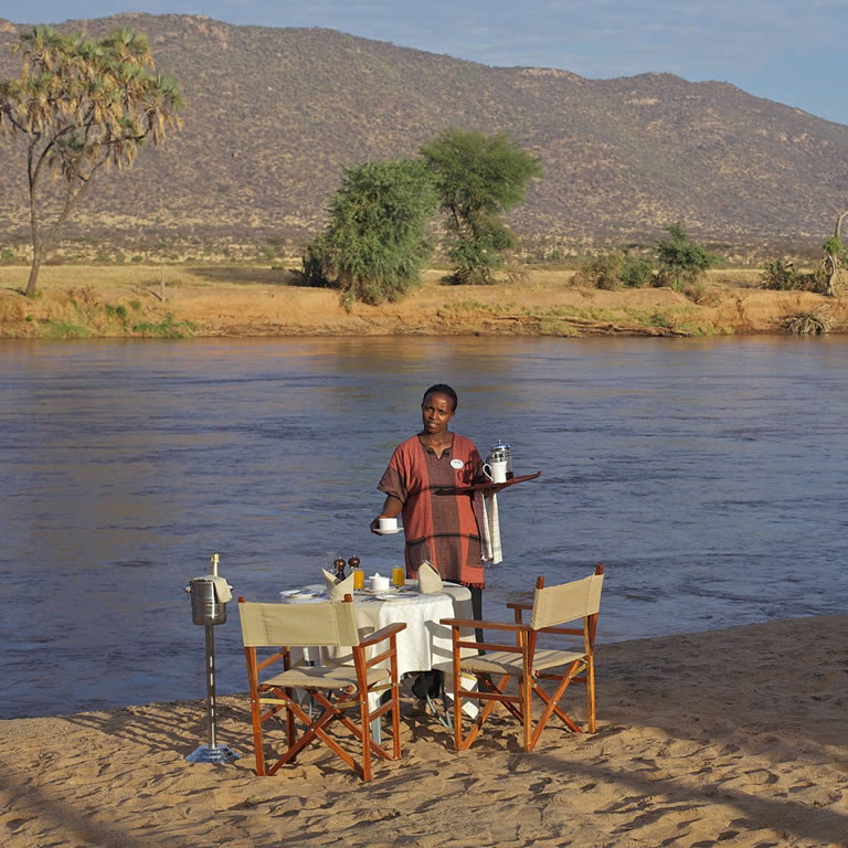 Ashnil Hotels - Ash Tree Design